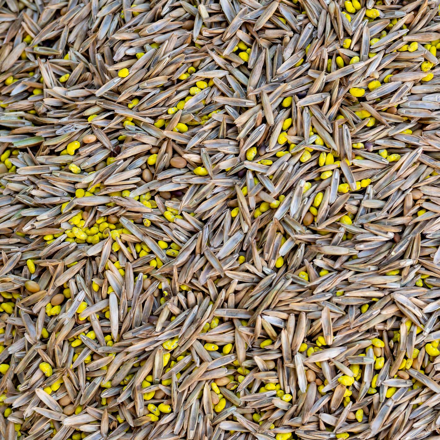 Zöldugar 10. csávázatlan rendelése - Primag